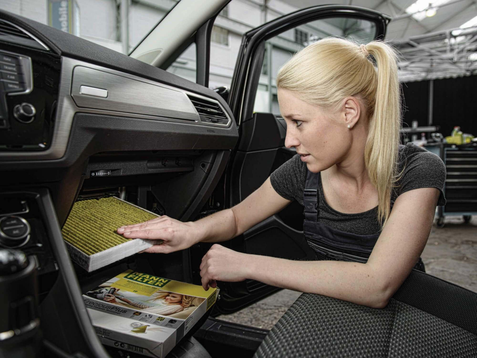 Mold, pollen, and particulate matter in car cabin air