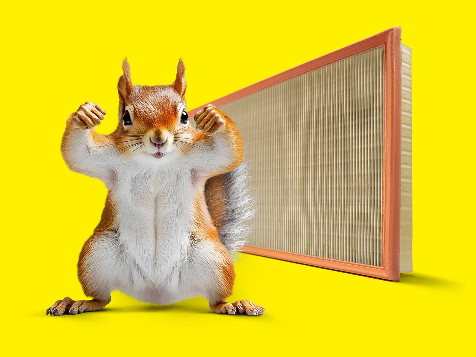 With the power of nature. Next-gen filters.