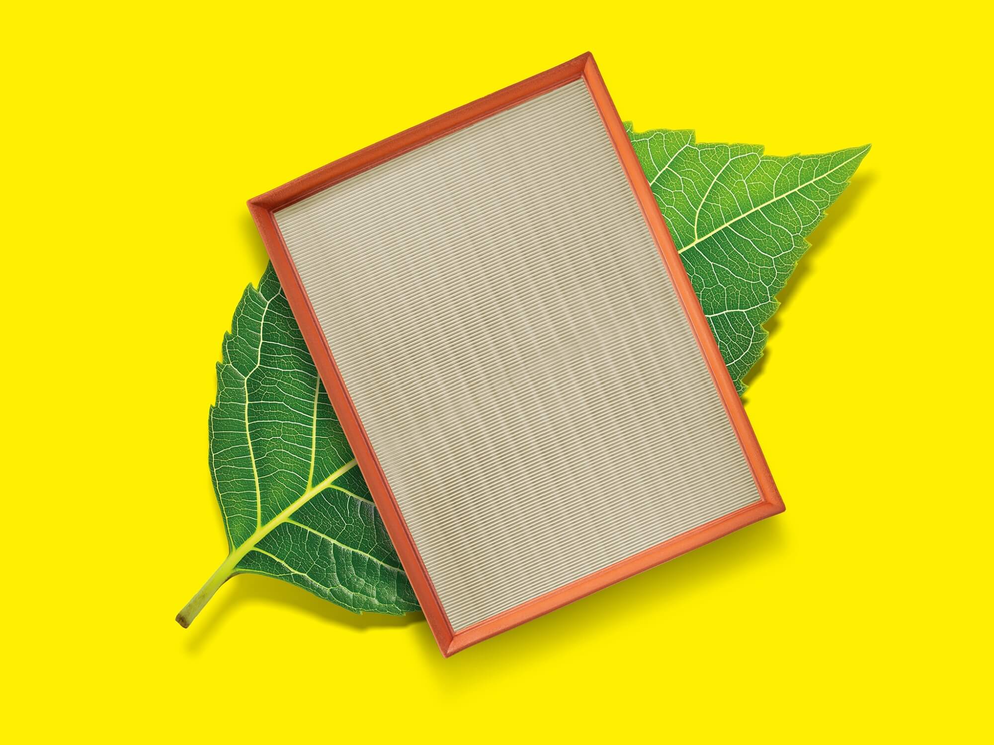 Lignin portfolio further expanded