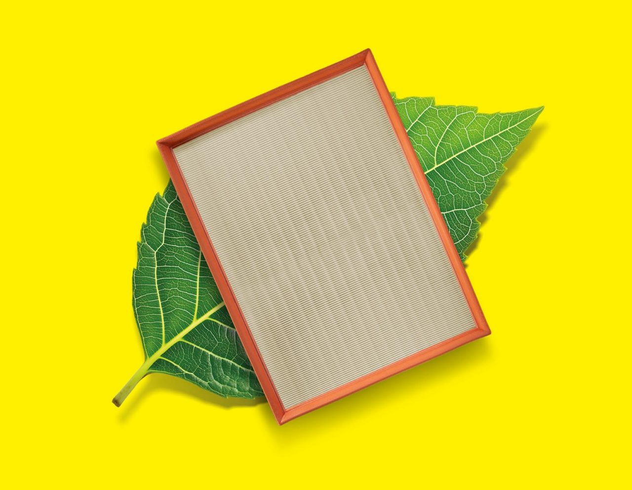 MANN-FILTER: Premium filters for 300,000 applications